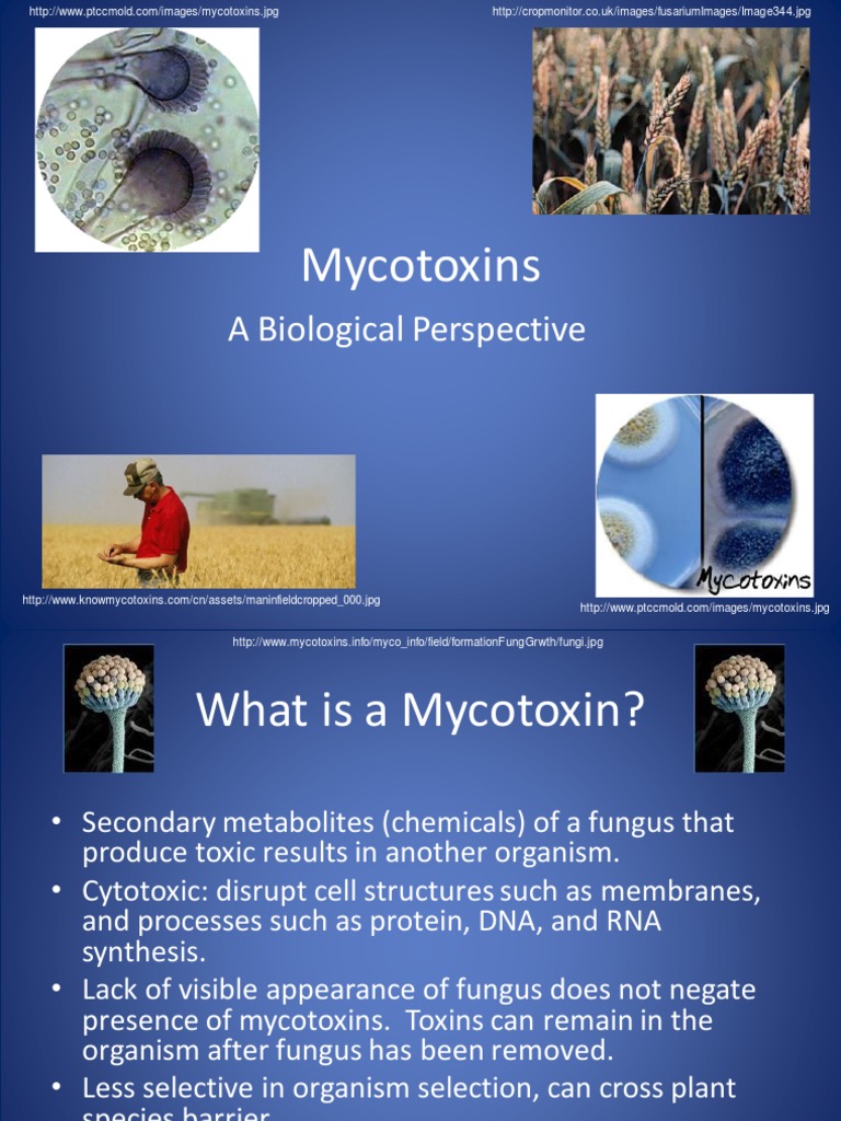 Mycotoxins: A Biological Perspective | PDF | Mycotoxin | Fungus