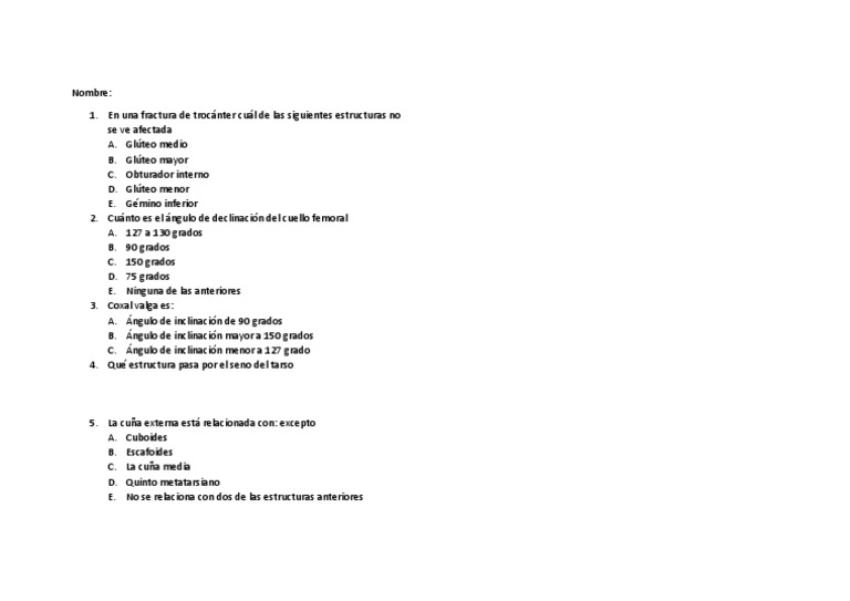 Examen de Morfo 1 | PDF