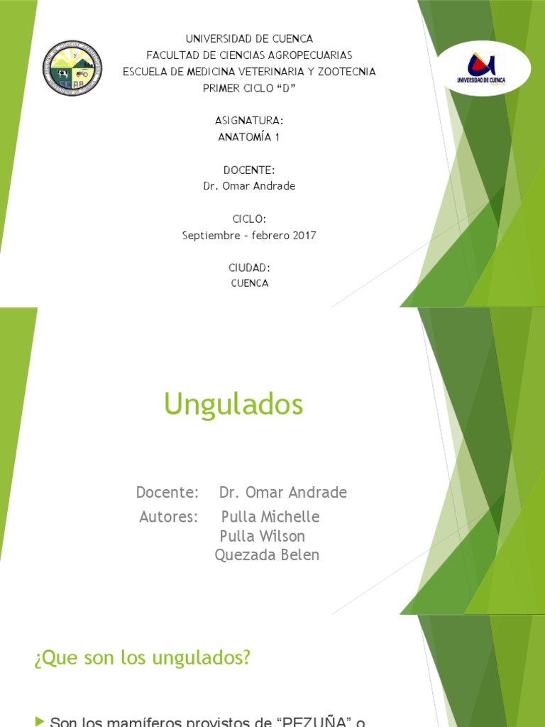 Tipos de Pisadas | PDF | Naturaleza