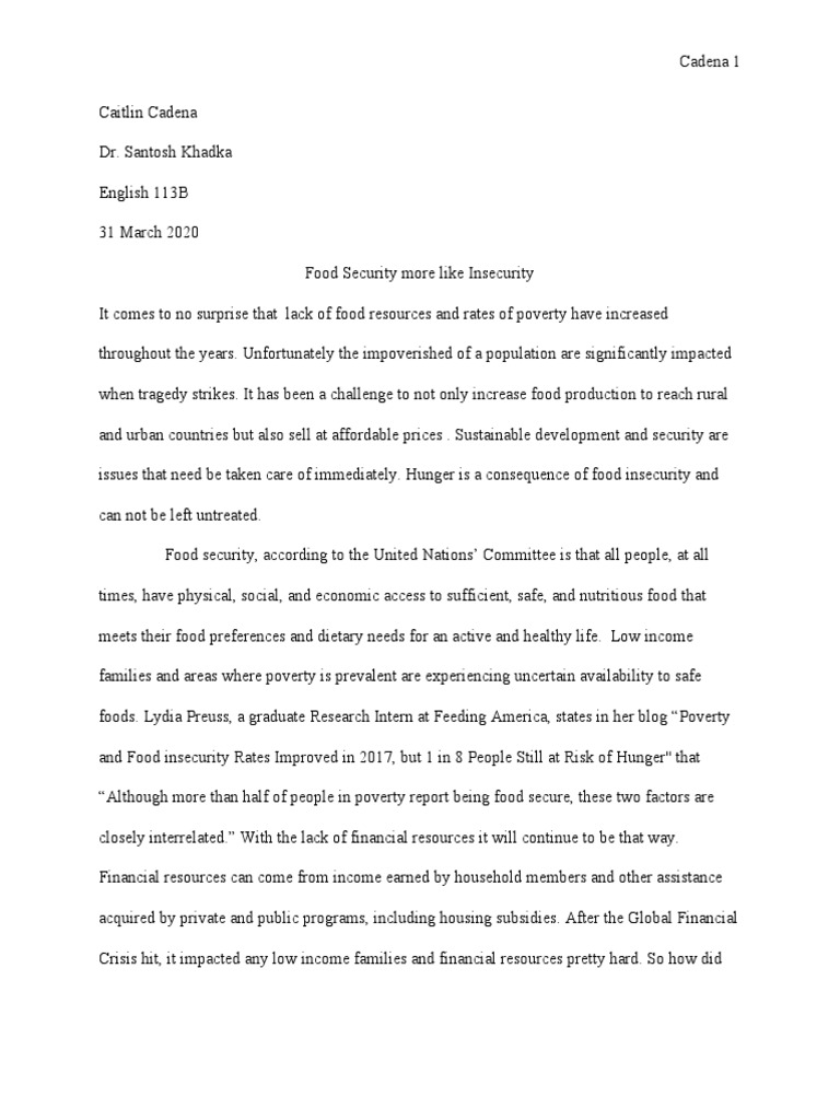 food-insecurity-essay-pdf-food-security-hunger