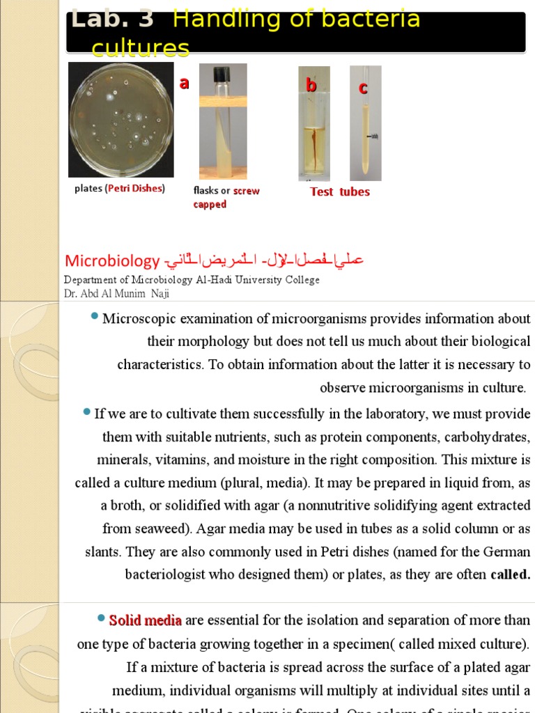 Lab 3 Handling | PDF | Growth Medium | Microbiology