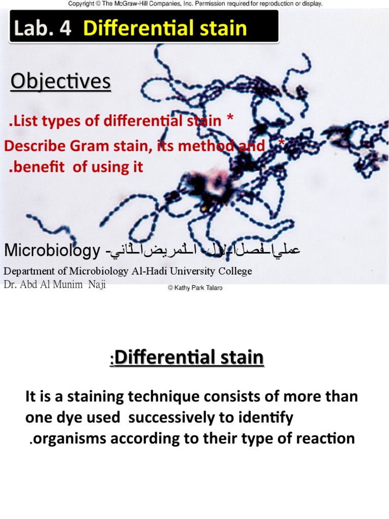 Lab 4 DIFFERENTIAL & Special STAIN | PDF | Staining | Histopathology