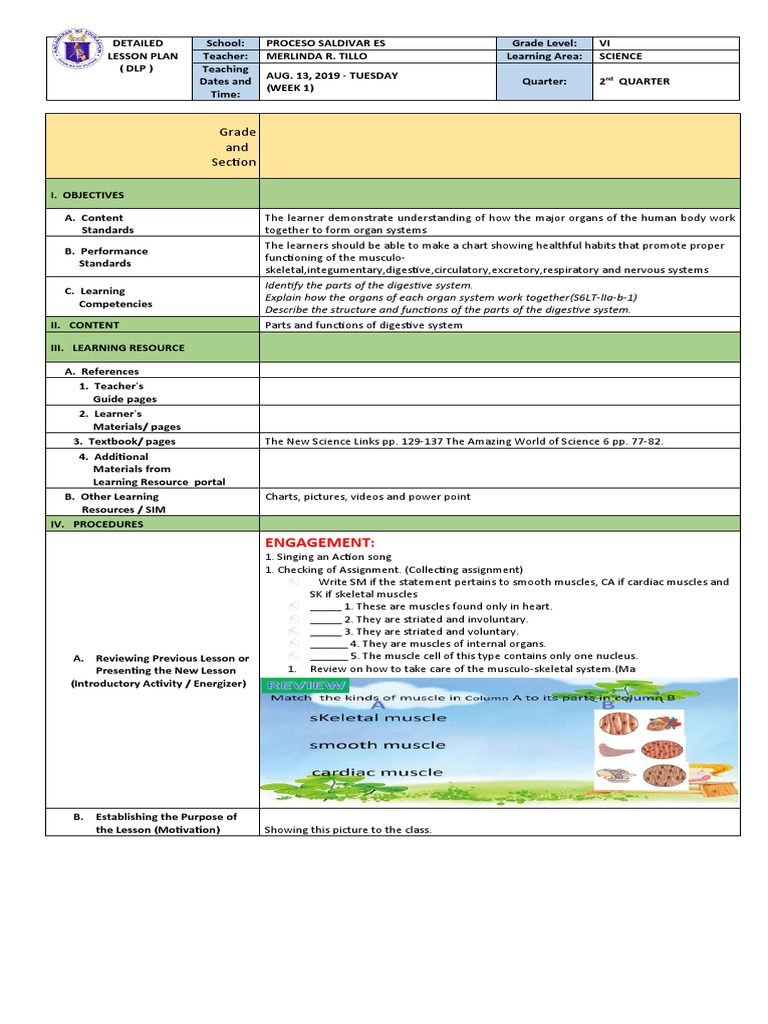 Cot DLP Digestive System | PDF | Digestion | Muscle
