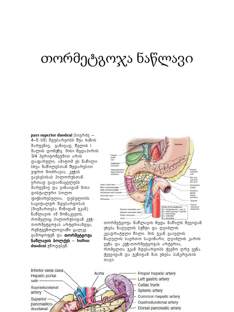 თემა 8 თორმეტგოჯა ნაწლავი Pdf