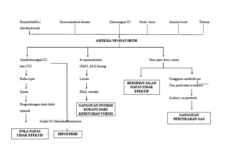 Pathway Asfiksia Neonatorum-1 | PDF