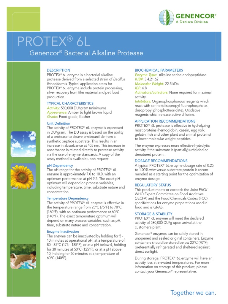 Protex 6L - FT | PDF | Protease | Substrate (Chemistry)