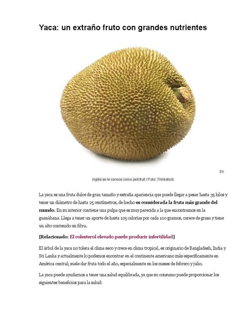 Yaca | Vitamina a | Nutrientes