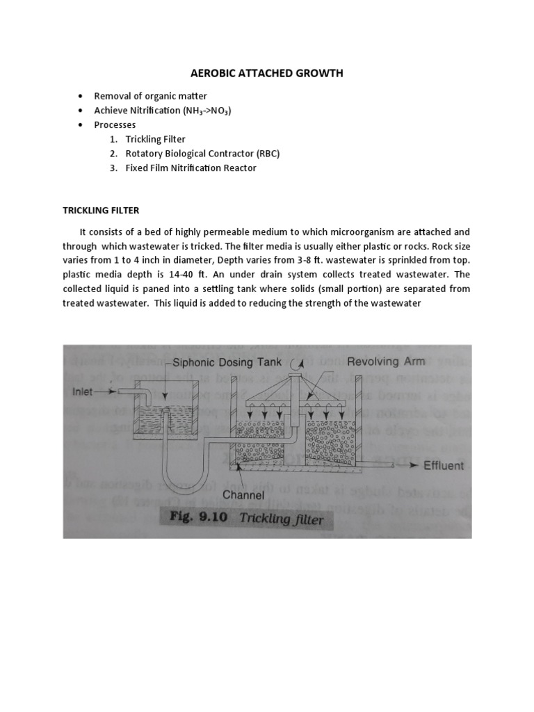 Aerobic Attached Growth | Download Free PDF | Sewage Treatment | Biofilm