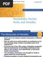 BIO G-11 Genetics Unit-4 | PDF | Meiosis | Translation (Biology)