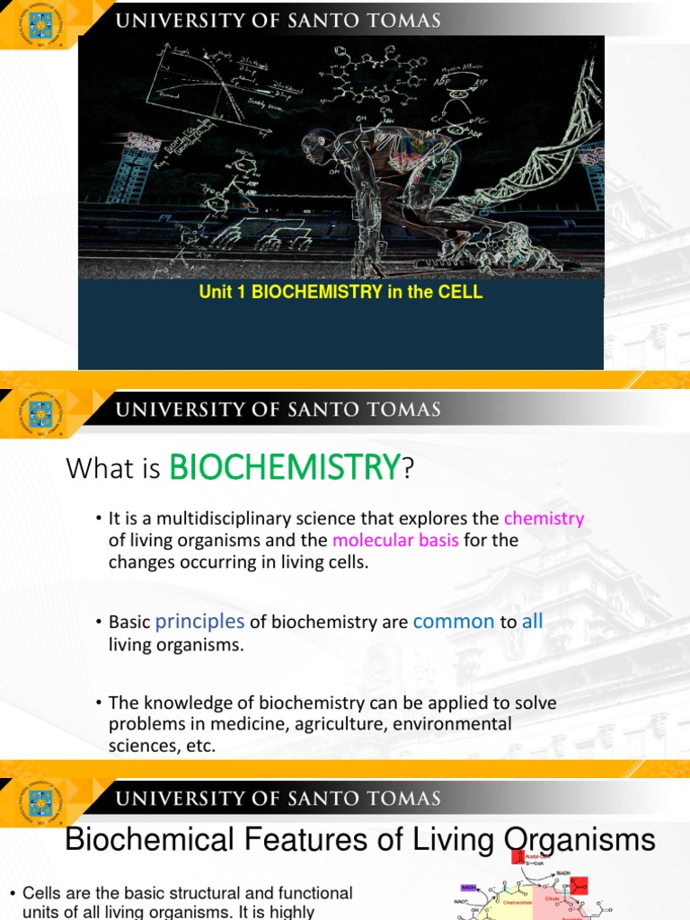 Unit 1 Biochemistry in The Cell | PDF | Endoplasmic Reticulum | Cell ...