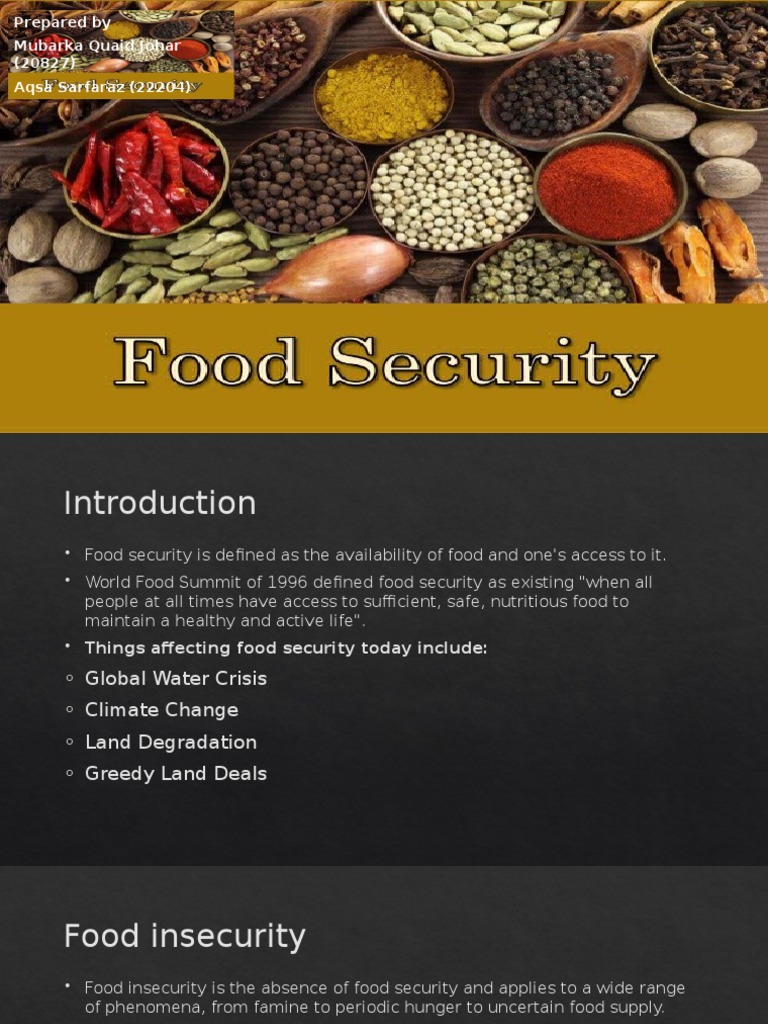 Food Security | PDF | Food Security | Hunger