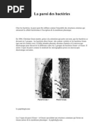 Cours 2-La Paroi Pectocellulosique PDF | PDF | Paroi cellulaire | Lignine