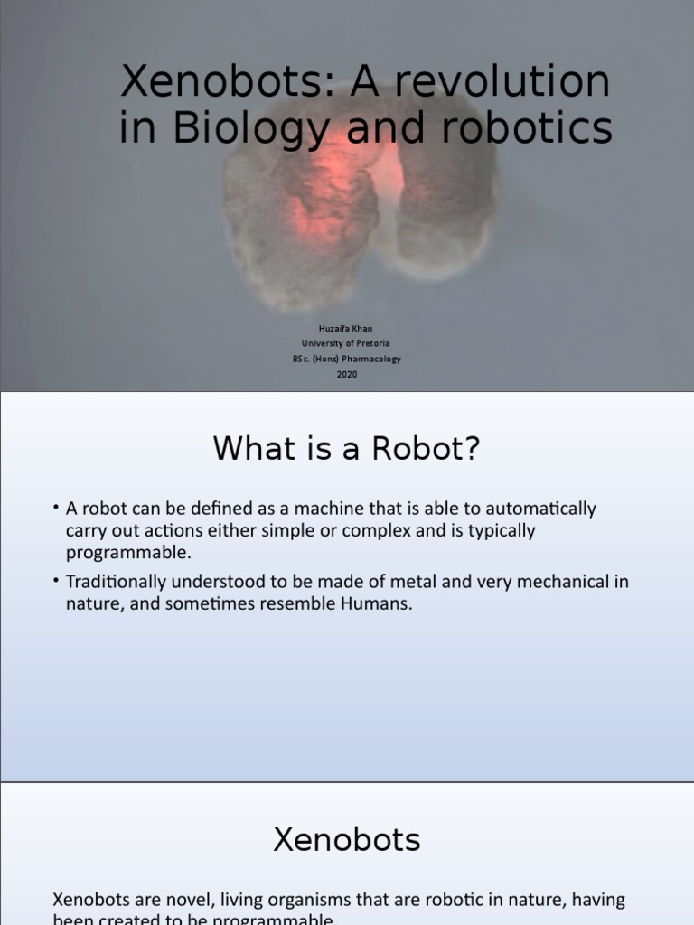 Xenobots: A Revolution in Biology and Robotics: Huzaifa Khan University ...