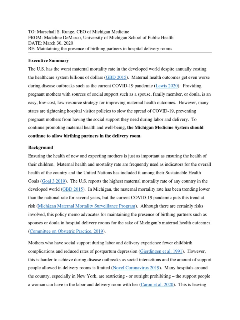 Health Policy Memo | PDF | Maternal Health | Childbirth