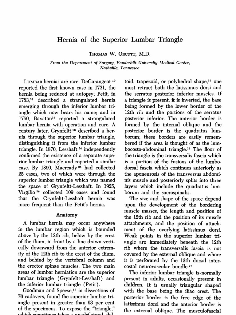 Petit Triangle | PDF | Anatomical Terms Of Location | Musculoskeletal ...