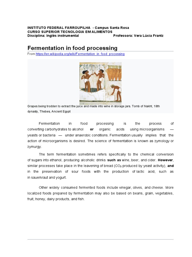 Fermentation's Role in Food Processing | PDF | Fermentation In Food ...