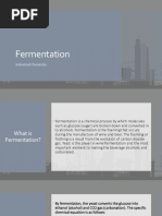 Heineken Beer Production Process | PDF | Beer | Fermentation
