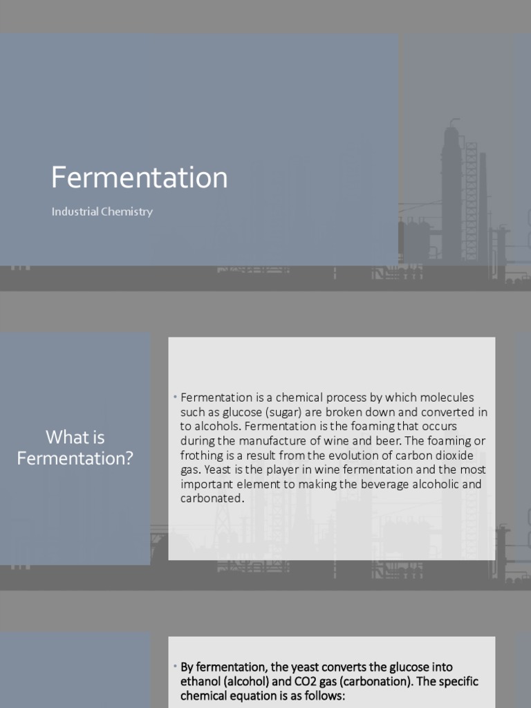 Fermentation Process (Wine & Beer) | PDF | Fermentation | Brewing