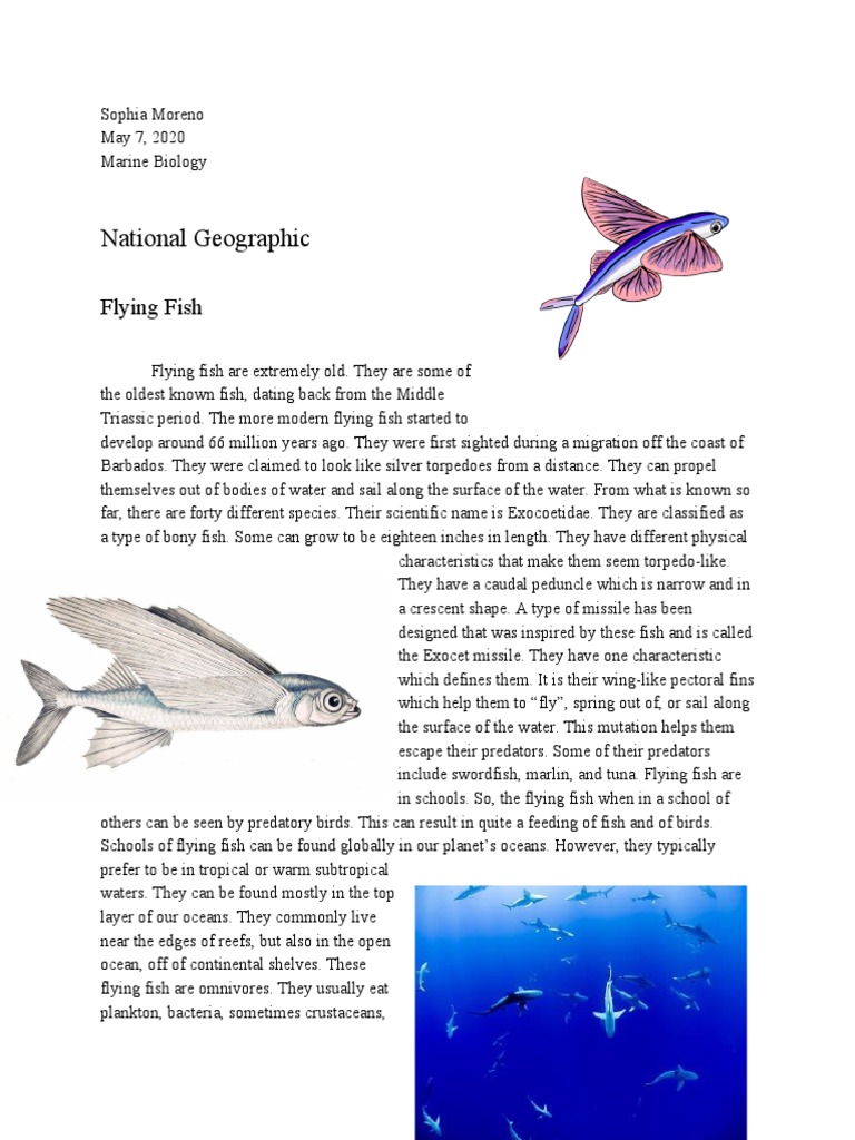 Sophia Moreno - Fish Species Report National Geographic Article | PDF ...