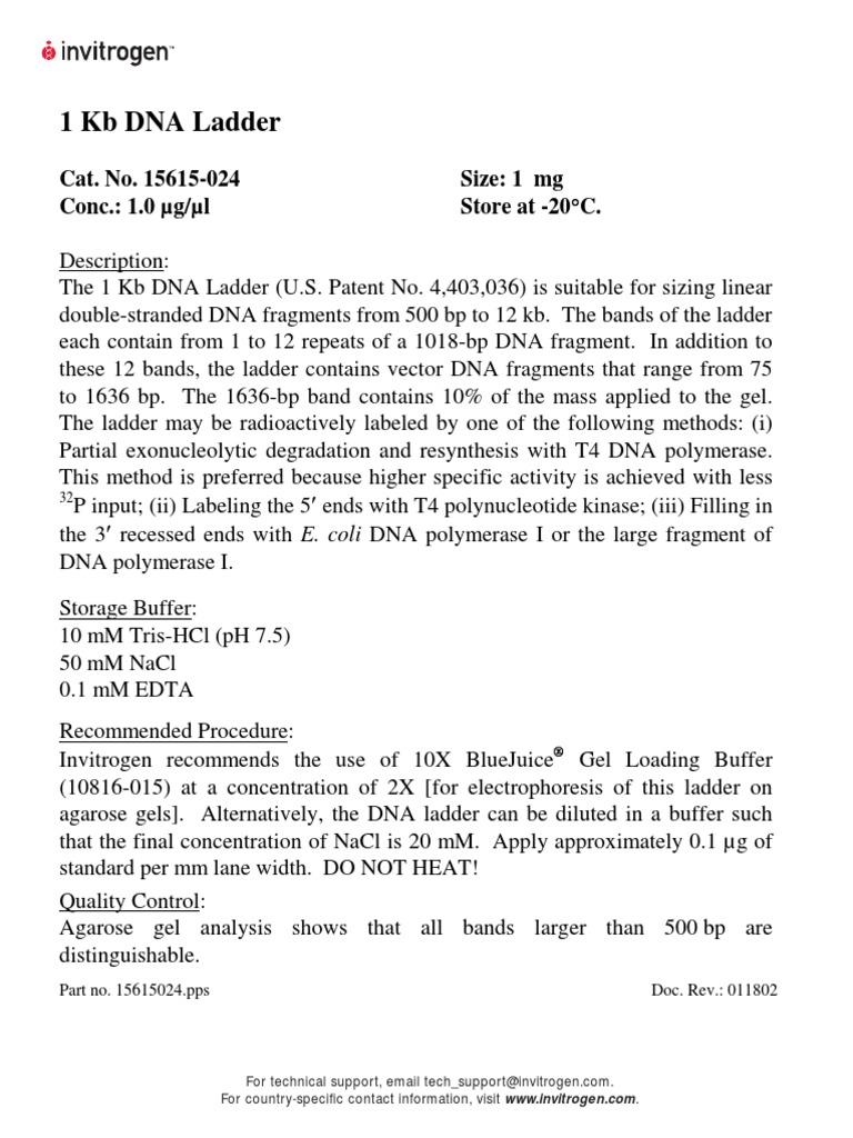 1 KB DNA Ladder: 5' DNA Terminus Labeling Protocol (Phosphate Exchange ...
