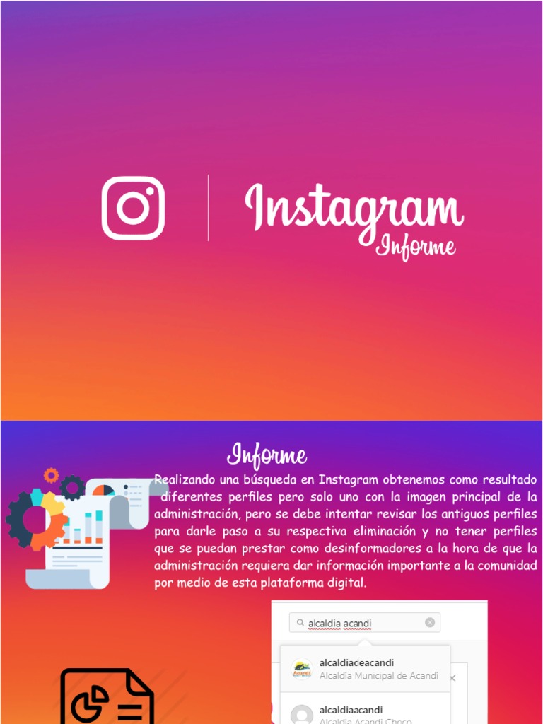 Informe Completo Instagram | PDF