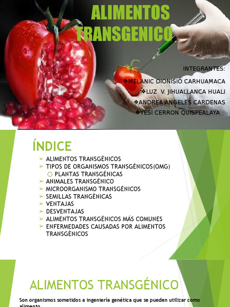 Alimentos Trasgenico | Descargar gratis PDF | Organismo genéticamente ...