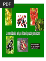 Taller de Bioinsecticidas | PDF | Control biológico de plagas | Plaga ...