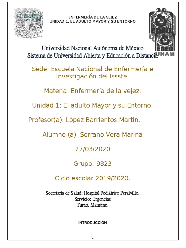 Integradora 1 Enfermeria de La Vejez | PDF | Vejez | Adultos