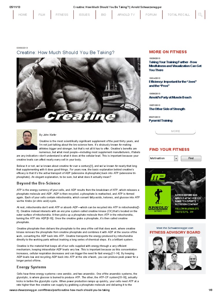 Creatine - How Much Should You Be Taking - Arnold Schwarzenegger | PDF ...
