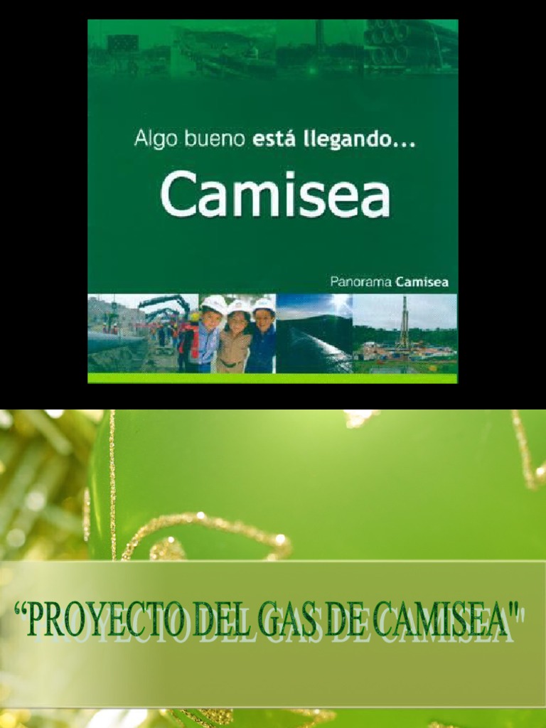 Proyecto de Gas Camisea | PDF | Energía y recursos | Economias