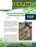 Anatomia Reproductiva Del Toro | PDF | Testículo | Sistema urinario