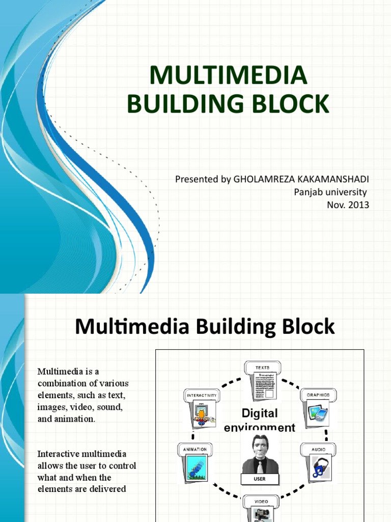 Multimedia Building Block: Presented by Gholamreza Kakamanshadi Panjab ...