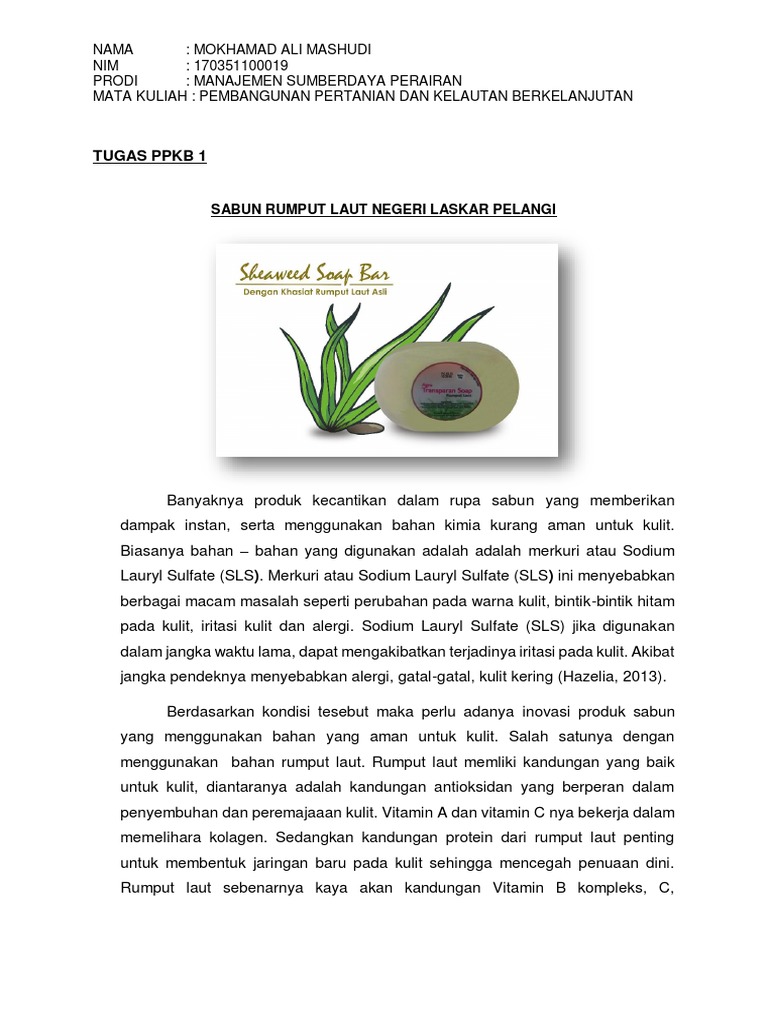Mokhamad Ali Mashudi (170351100019) Sabun Rumput Laut Laskar Pelangi ...