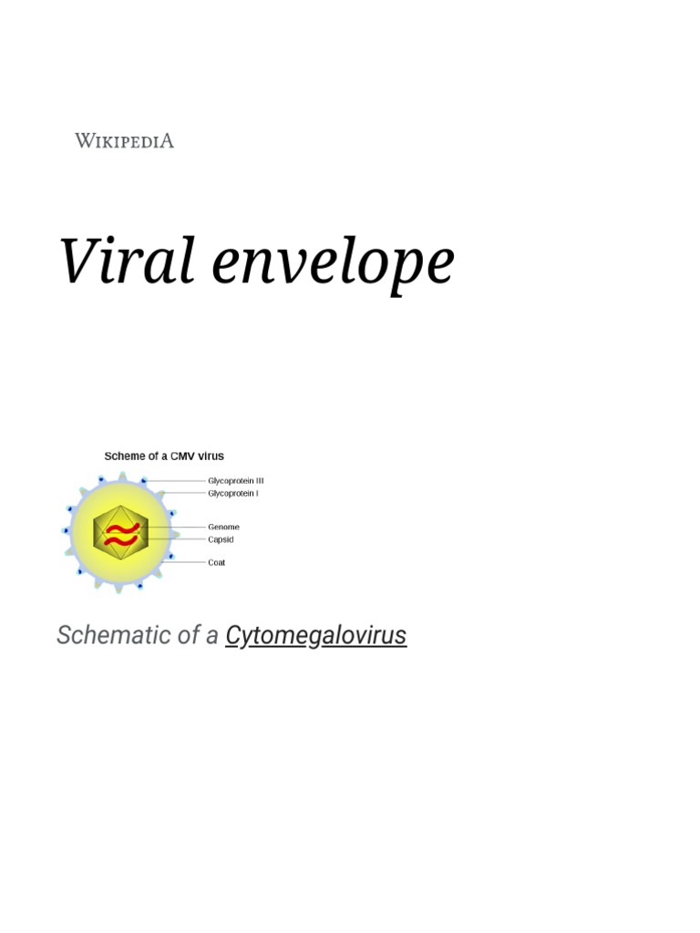 Viral Envelope - Wikipedia PDF | PDF | Virus | Virology