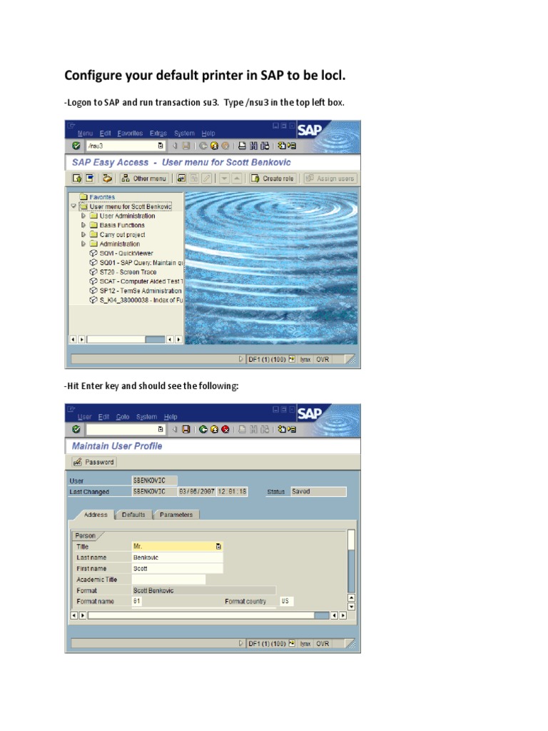 SAP Local Printing PDF | PDF
