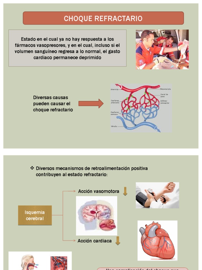 Choque Refractario: Causas y Tratamiento | PDF | Choque (circulatorio ...