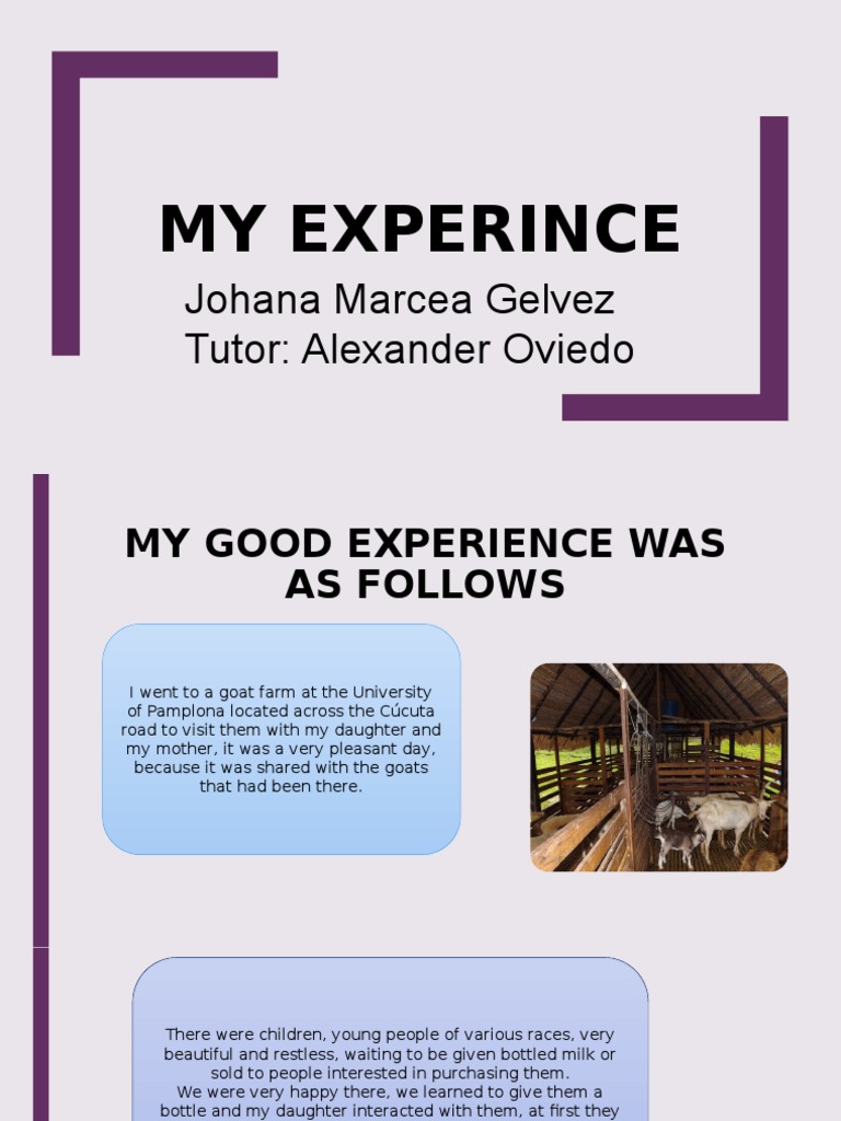 My Experince. - Ingles | PDF