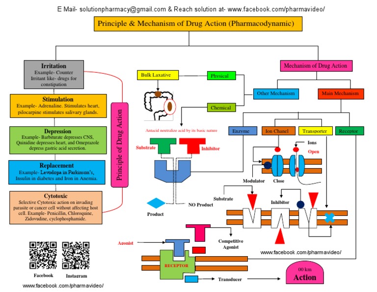 Principles of Drug Action Explained | PDF | Biochemistry | Chemistry