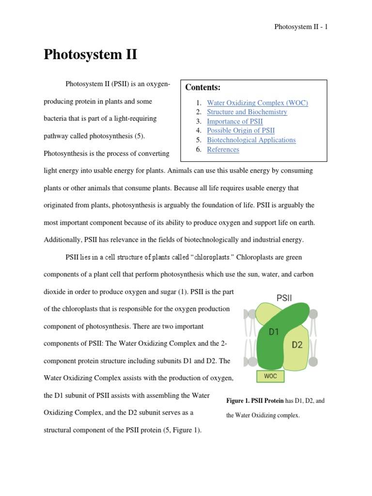 WK Psii Final | PDF | Photosynthesis | Biochemistry