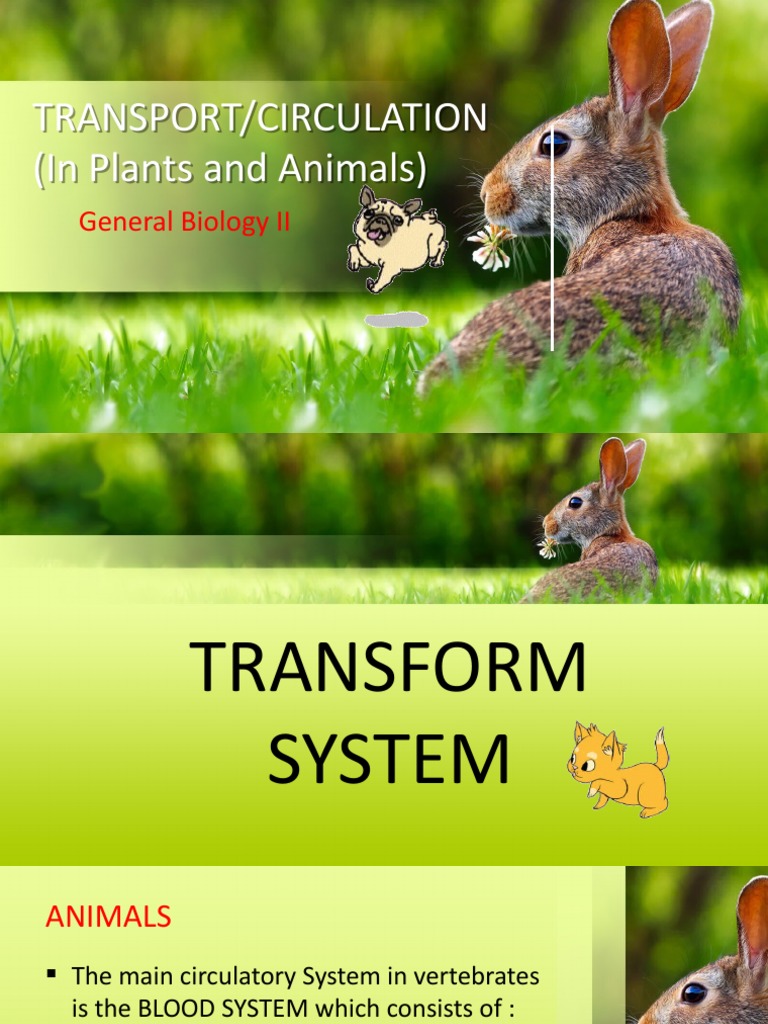 Transport Circulation (In Plants and Animals) | PDF | Blood | Hemoglobin