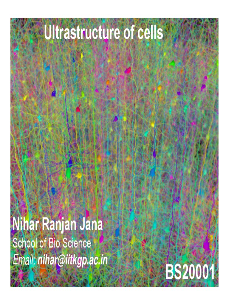 Nihar-Lecture5 - Ultrastructure of Cells Complete Class | PDF ...