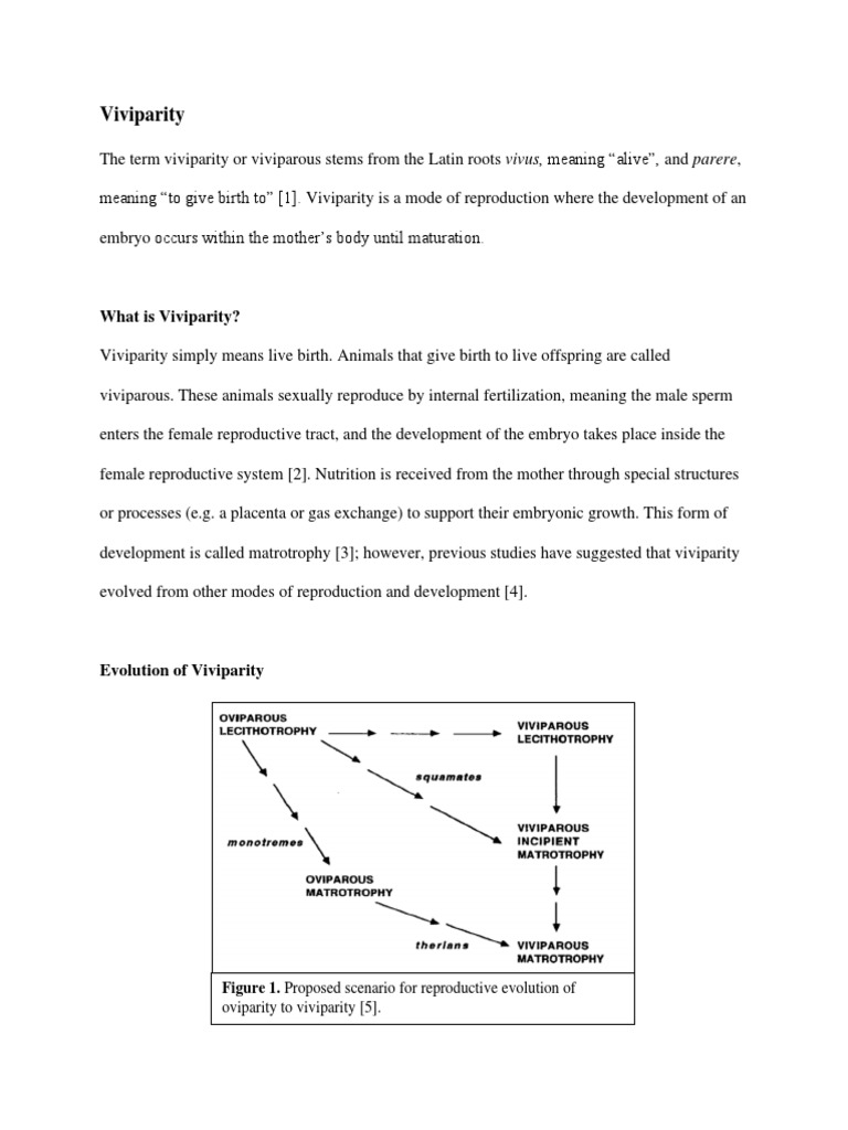 SL Revised Viviparity Definition | PDF | Sexual Reproduction ...