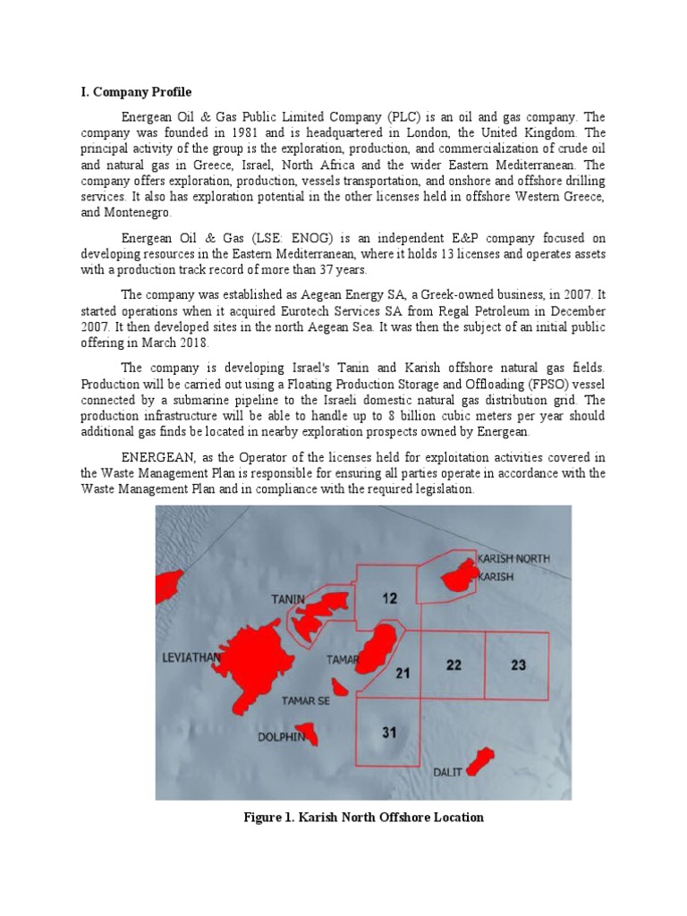 I. Company Profile | PDF | Waste Management | Waste