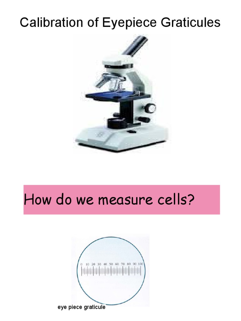 Calibration of Microscope | PDF
