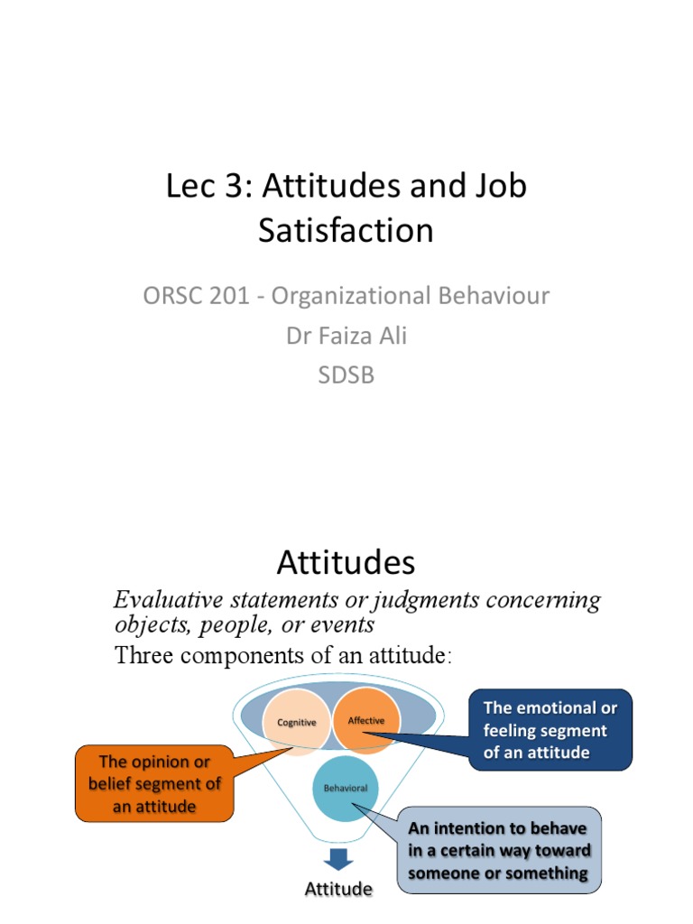 Understanding the Relationship Between Job Attitudes and Satisfaction ...