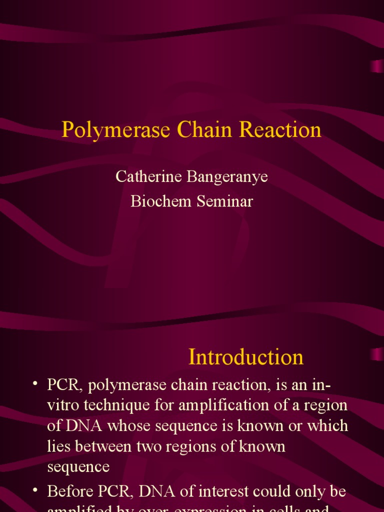 PCR Presentation | PDF | Polymerase Chain Reaction | Taq Polymerase