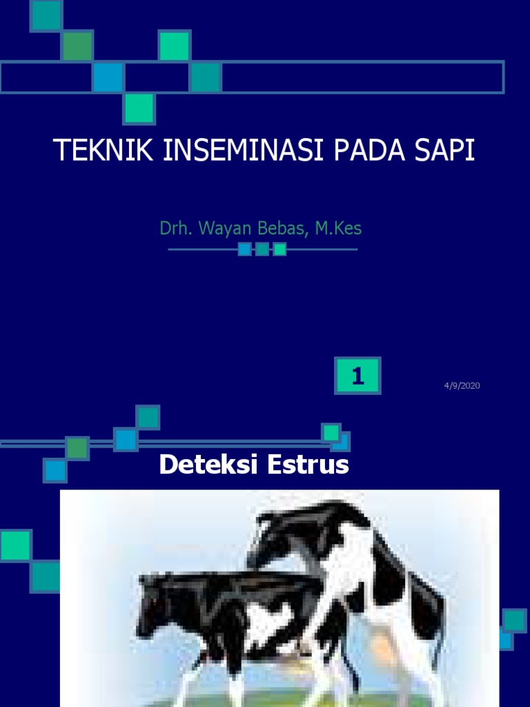 Teknik IB Pada Sapi | PDF