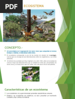 Triptico Ecosistema Terrestre | PDF | Ecosistema | Suelo