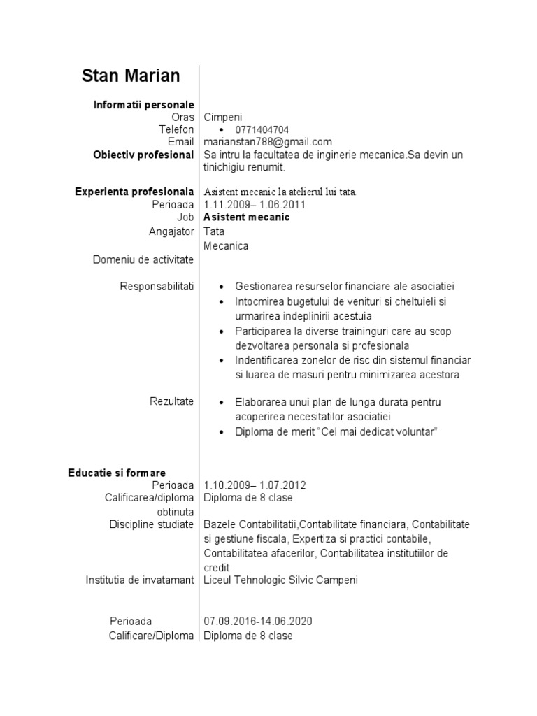 CV Stan Marian | PDF