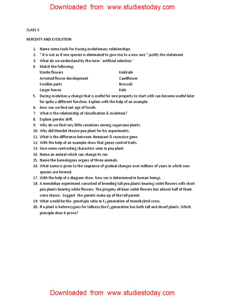 CBSE Class 10 Biology - Heredity and Evolution | PDF